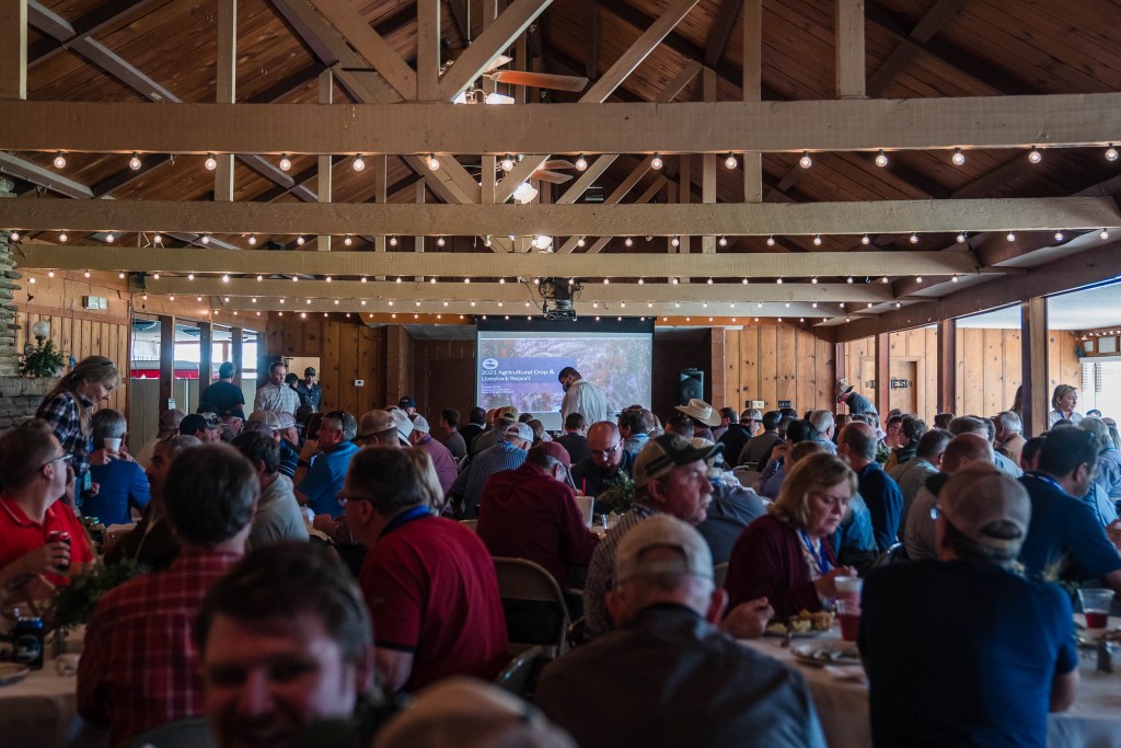 Environment Report: A Love-Hate Letter to Alfalfa | Voice of San Diego