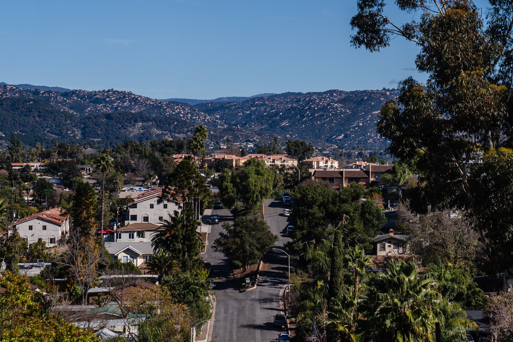 Sacramento Report: The Race for the 40th Senate District Is On | Voice ...