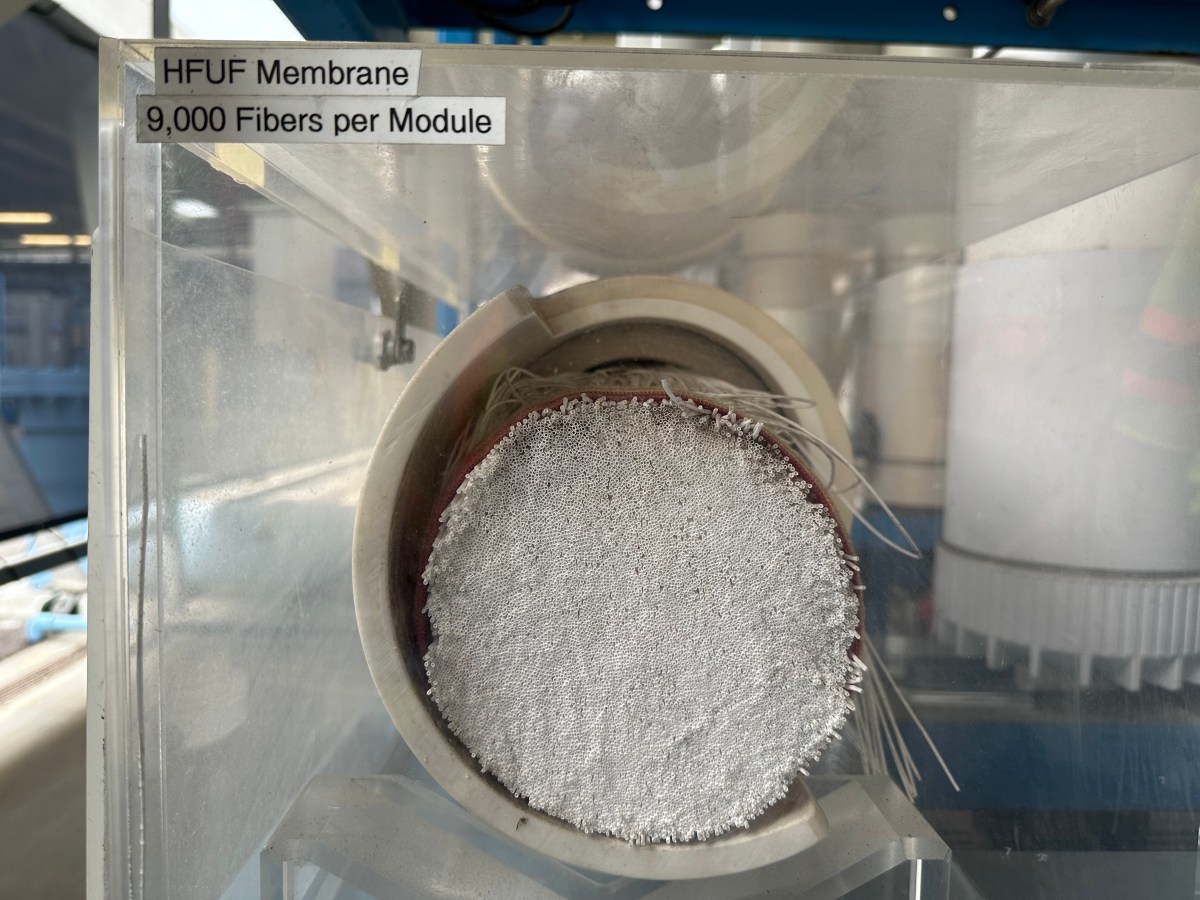 We're About to Drink Toilet Water. What You Need to Know