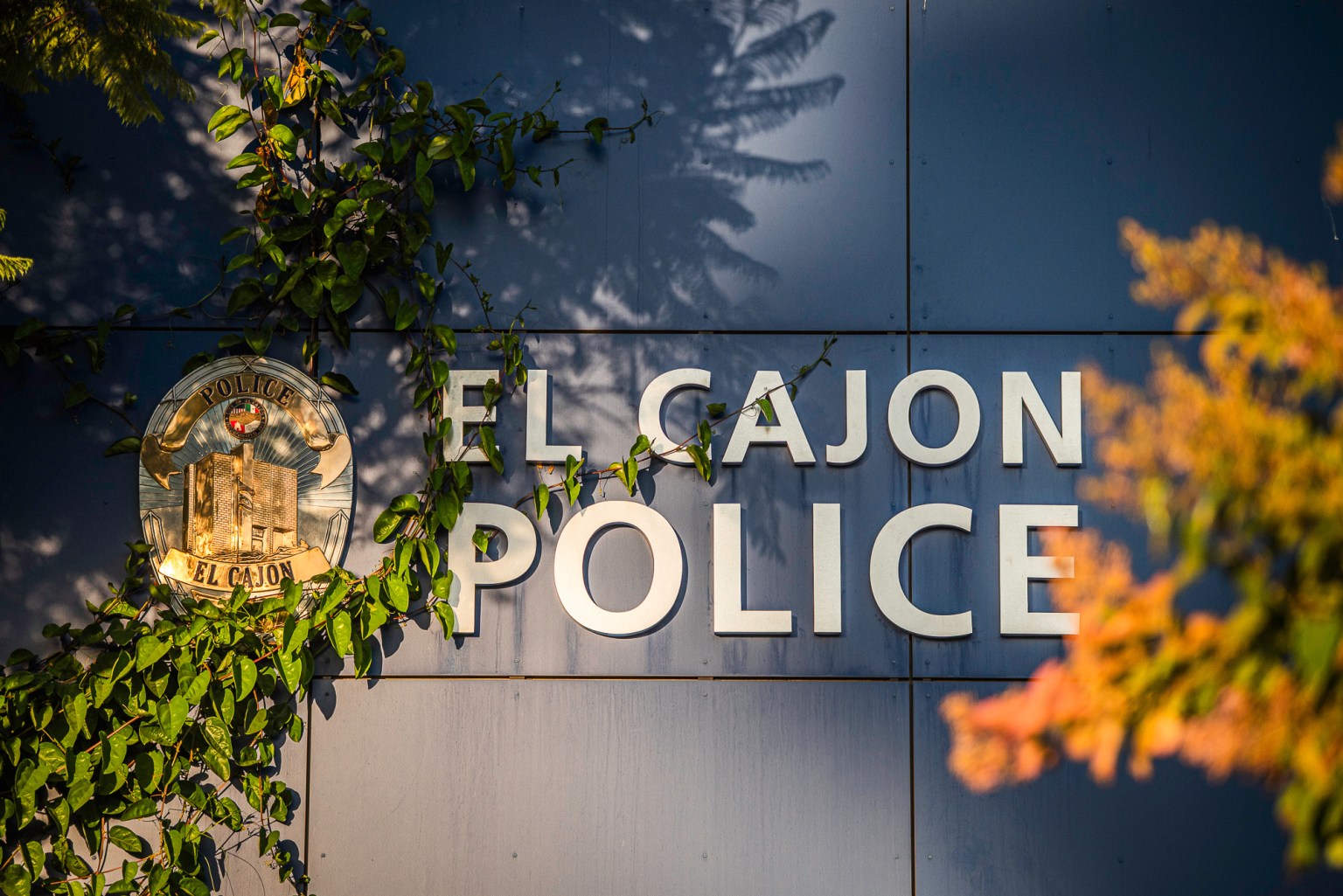 El Cajon, Escondido Lead County’s Prop. 36 Arrests Per Capita | Voice ...