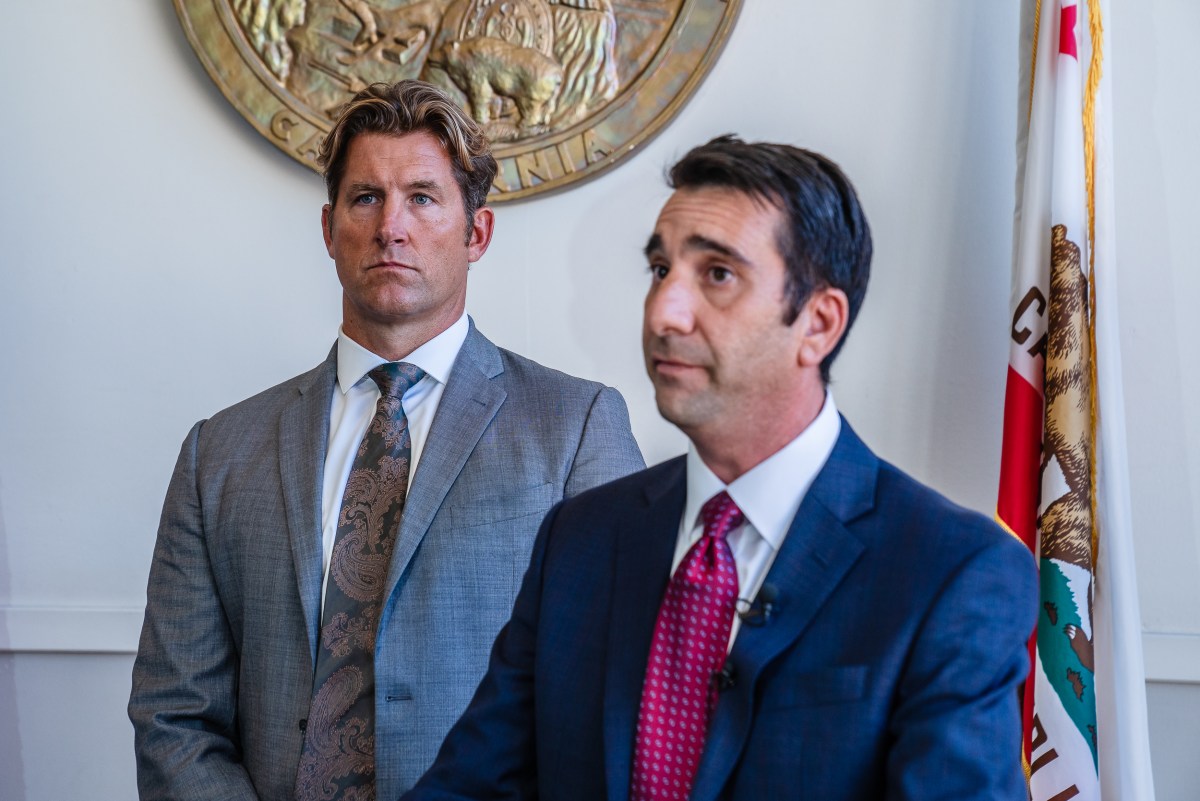 What Led to Encinitas Councilmember’s Assault Charge? A Dispute Over ...